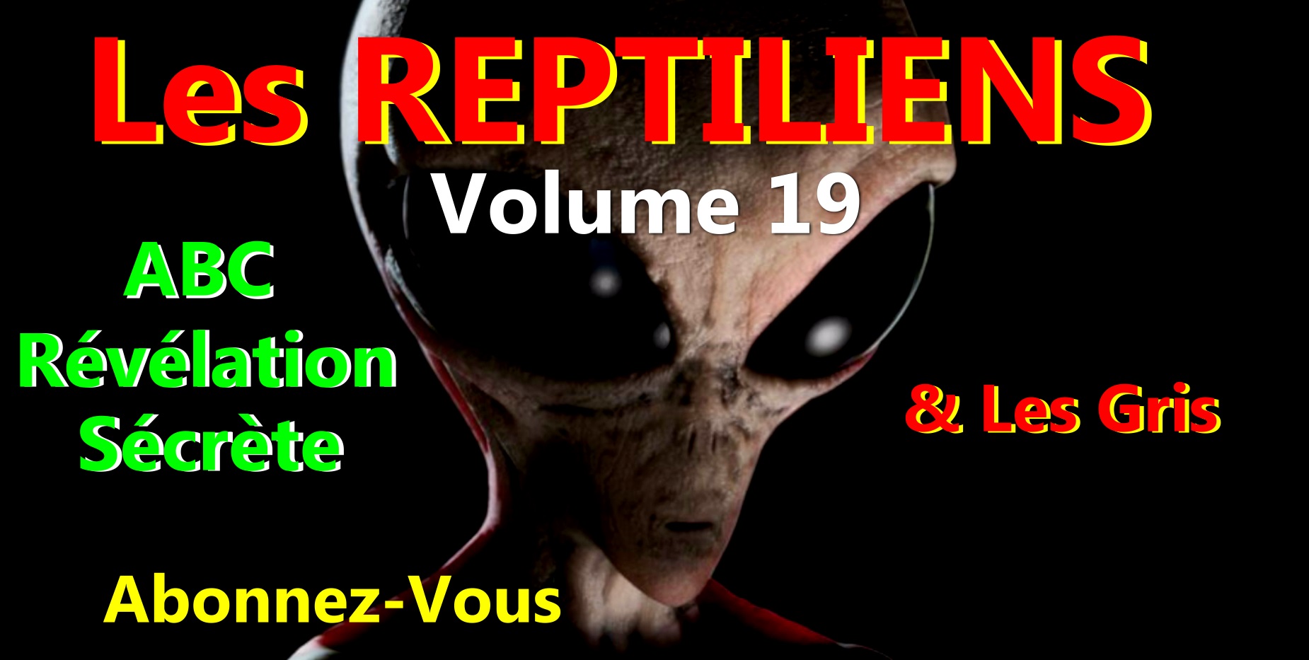 VIDEO INTERDITE N°19 – Les  REPTILIENS et les GRIS – Alex Collier