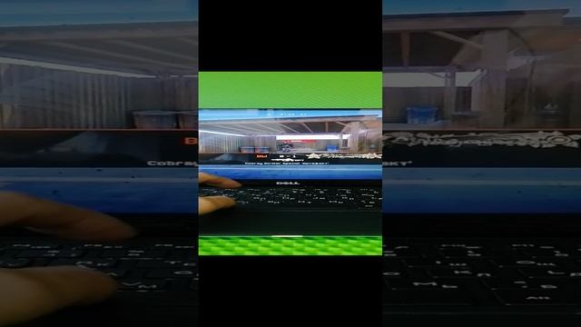 Селезневка Делл А6753