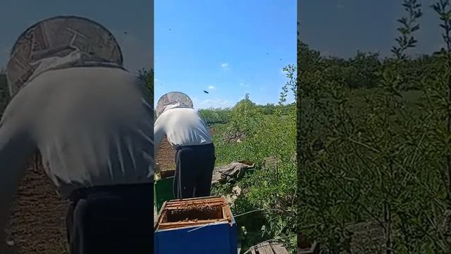 матководы нужна помощь