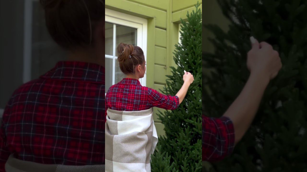 Новинка сезона - Ель Грация!