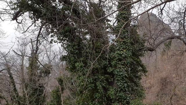 Февраль в Крыму