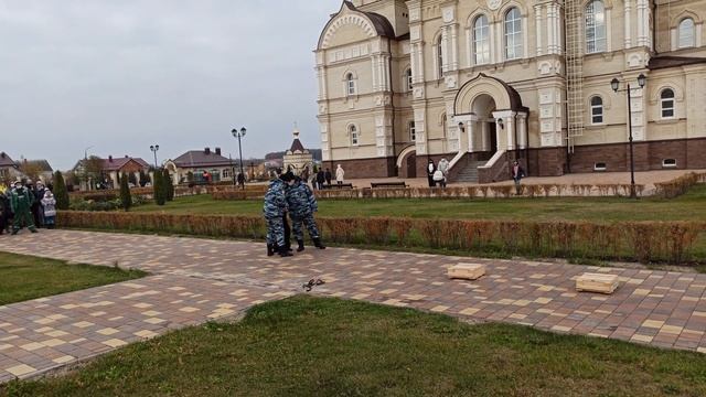 Поиск взрывчатки. Показательное выступление.