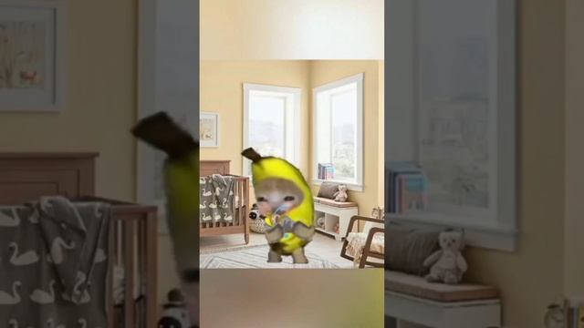 У Banana cat родился малыш