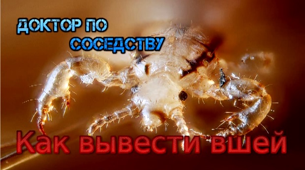 Как вывести вшей. Доктор по соседству.