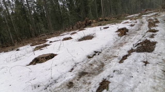 Участок для многодетных. Снег помешал сделать запланированные работы. Чужие кучи.