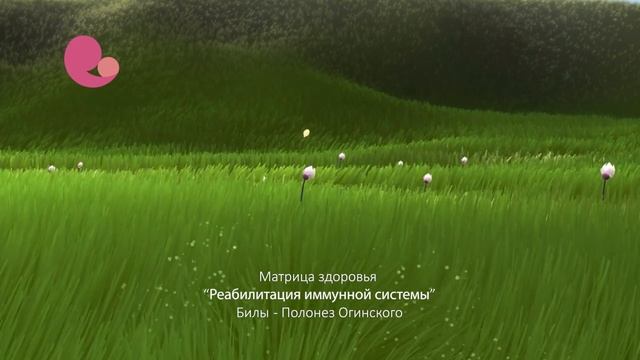 Матрица здоровья - иммунной системы