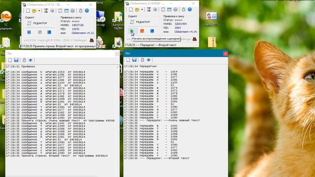 Передача текста SENDMESSAGE между копиями Clickermann