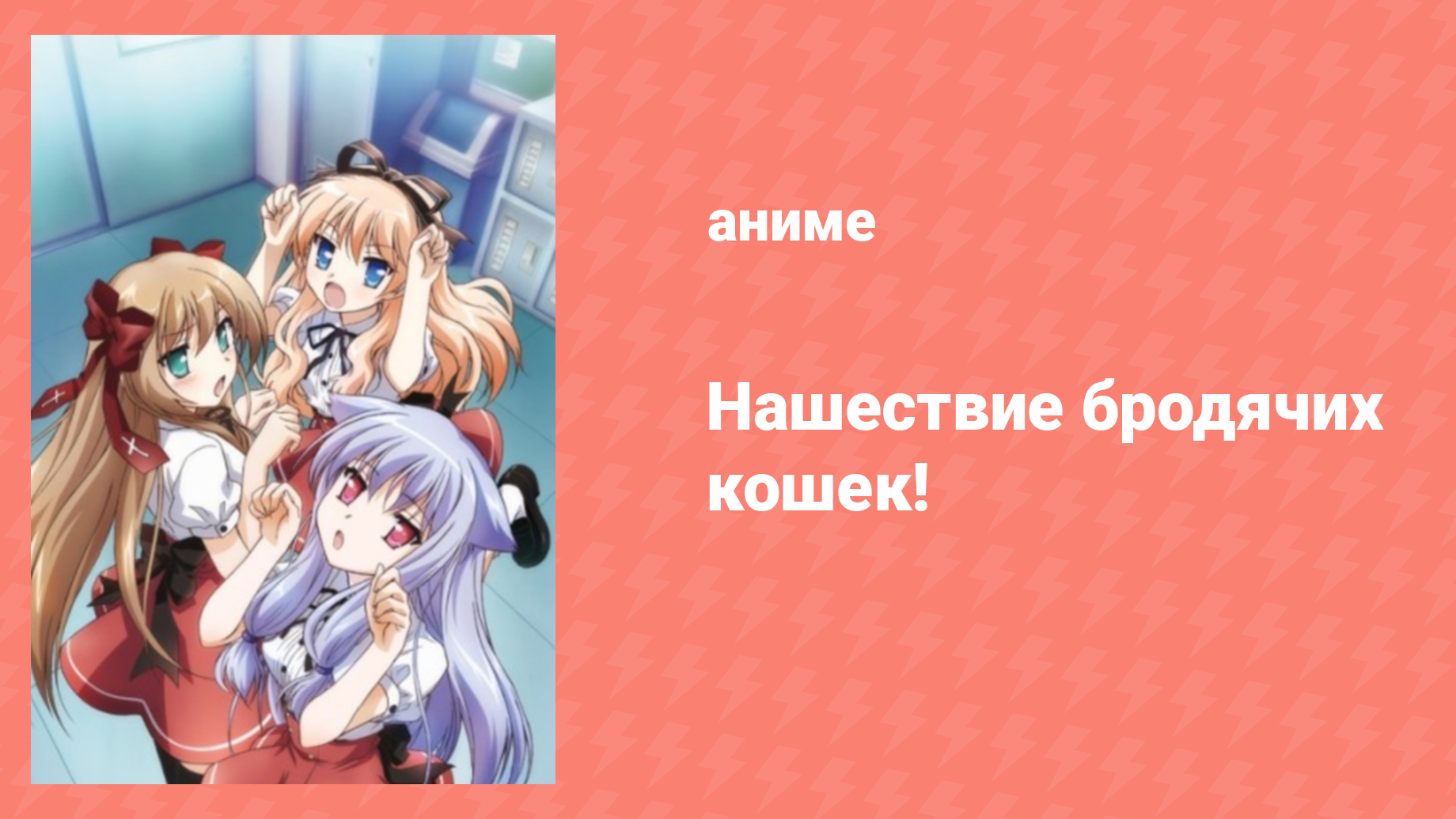 Нашествие бродячих кошек! 10 серия «Бродячие кошки забрали» (аниме-сериал, 2010)