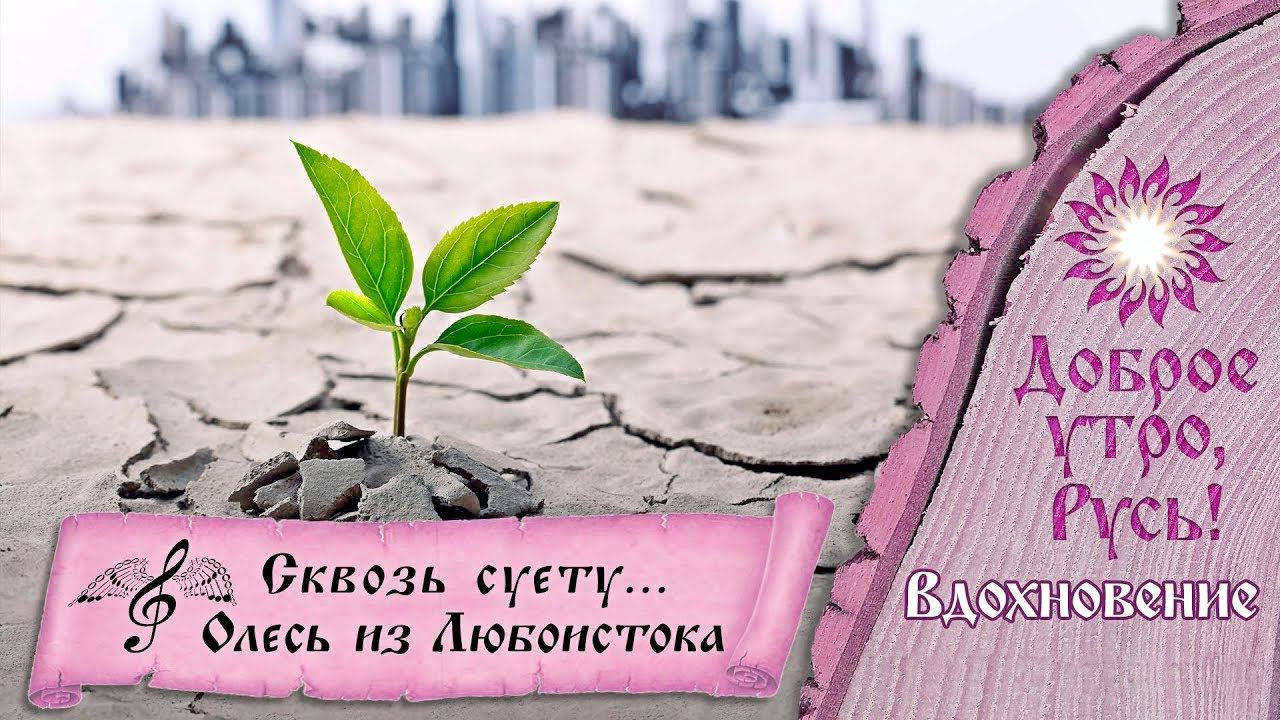 «Сквозь суету...»