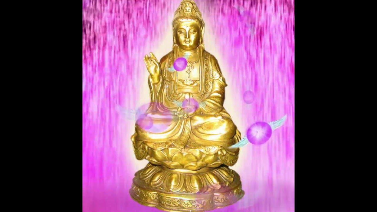 Decree 1.30 Forgiveness (1х)