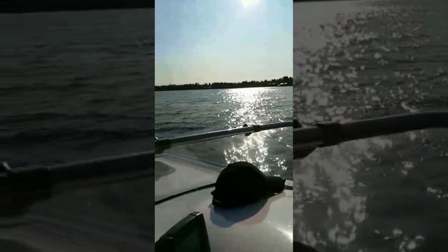 Река Волхов 🚤