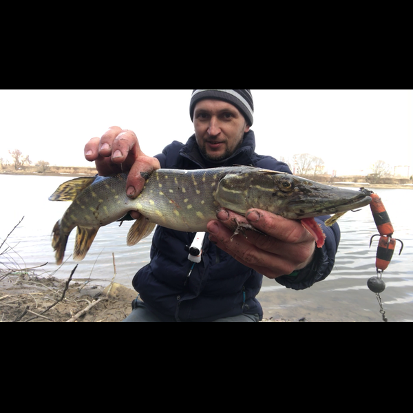 УДАЧНЫЙ ДЕНЬ ДЛЯ РЫБАЛКИ! РЫБАЛКА НА ХИЩНИКА перед нерестовым запретом! Москва река.