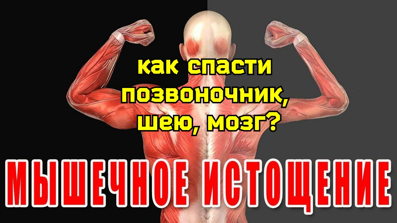 Деградация мышц мешает крови течь в шею и мозг. Уникальные упражнения для позвоночника