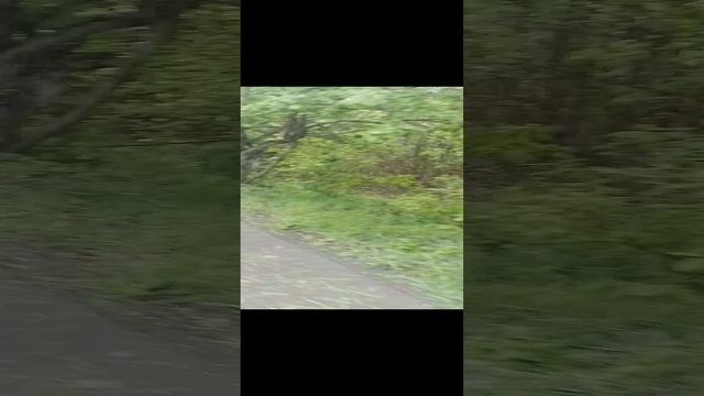 После дождя