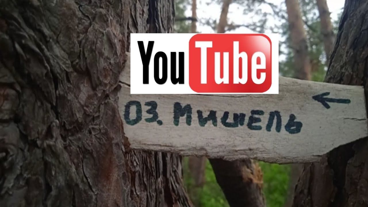 Оз. Мишель 8 финал