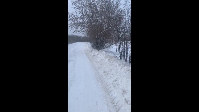 Шоколадка в подарок _ Мусор в снегу #357 Ореъхово-Зуево.mp4