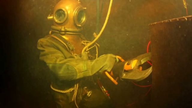 Виртуальная экскурсия по музею экоцентра «Московский эколог»