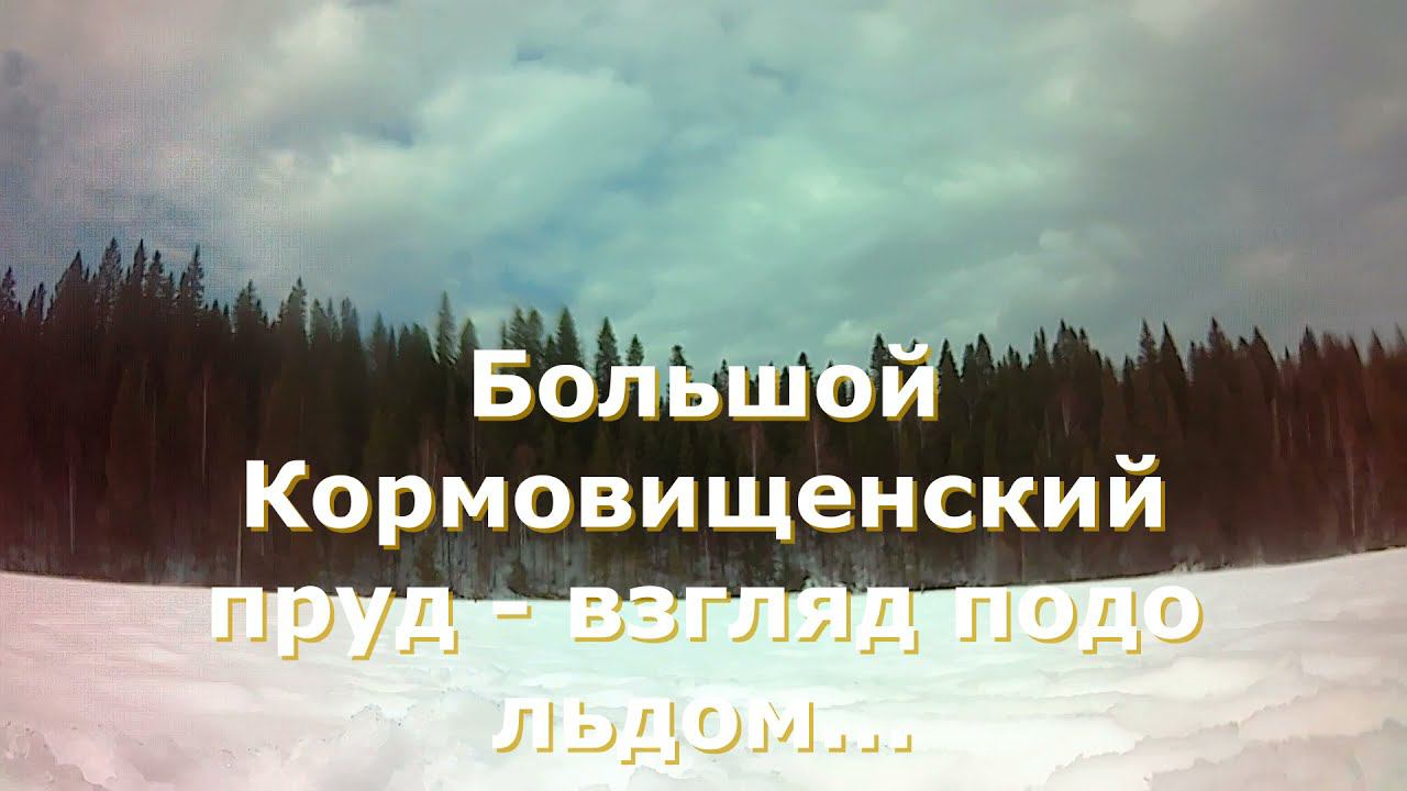 Большой Кормовищенский пруд - взгляд подо льдом