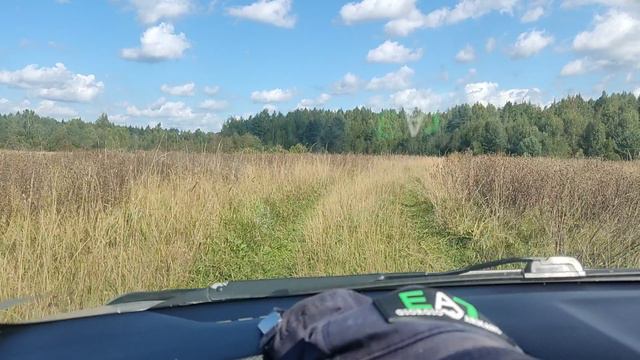 Большое поле