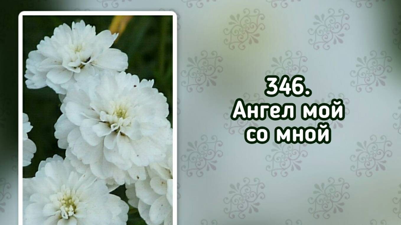 Гимны надежды 346 Ангел мой со мной (-)