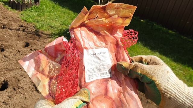 Удобрение для посадки картофеля