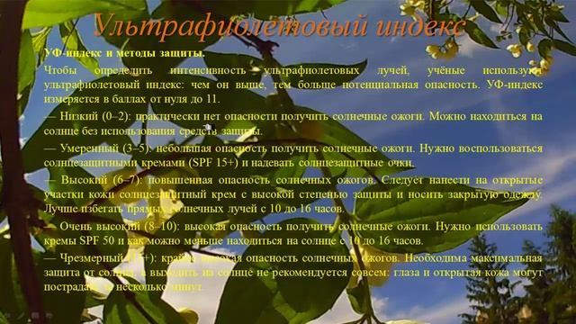 Ультрафиолетовый индекс