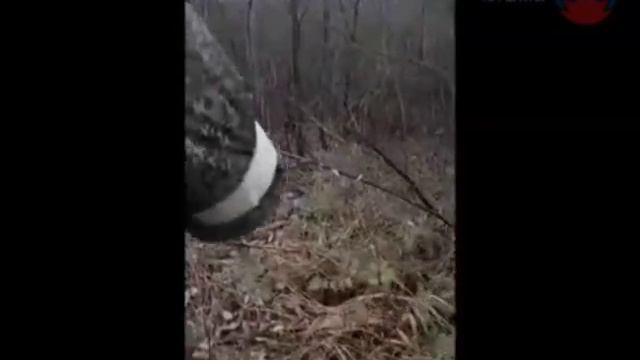 Беременная жинка ВСУ попала в плен