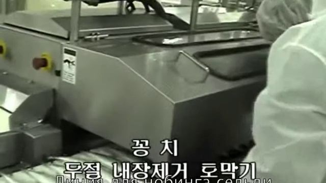 Линия нобинга и нарезки. сельди, скумбрии и пр.