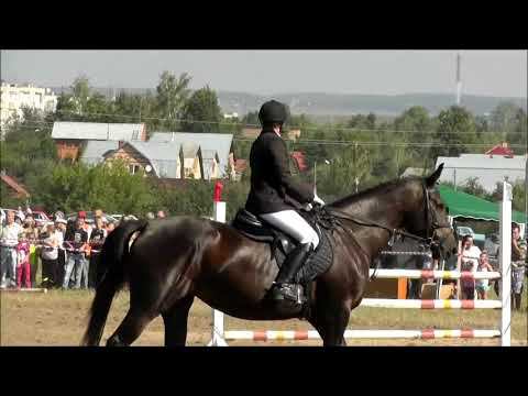 Deep Purple - Anya. Show jumping in Zaraysk. Russia.