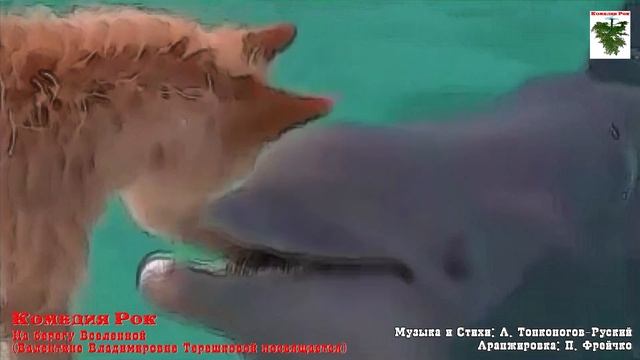 КОМЕДИЯ РОК   На берегу Вселенной