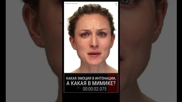 Определи какие эмоции