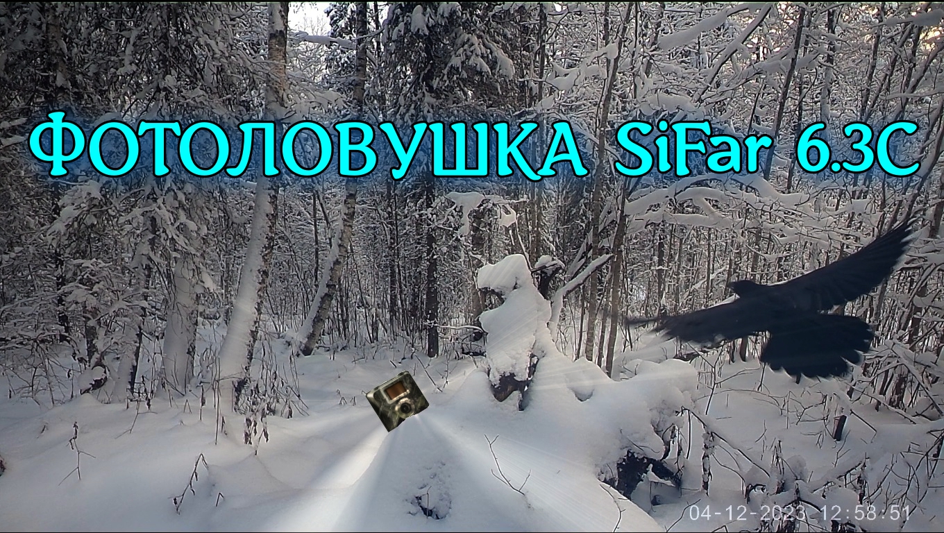 Кто-то тут не ходит. Фотоловушка SiFar 6.3C