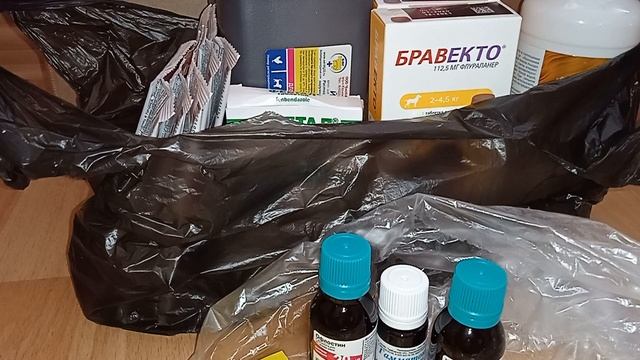 Чем пропаивать цыплят. Павлин вылупился. Что с ним не так. Сколько осталось цыплят..