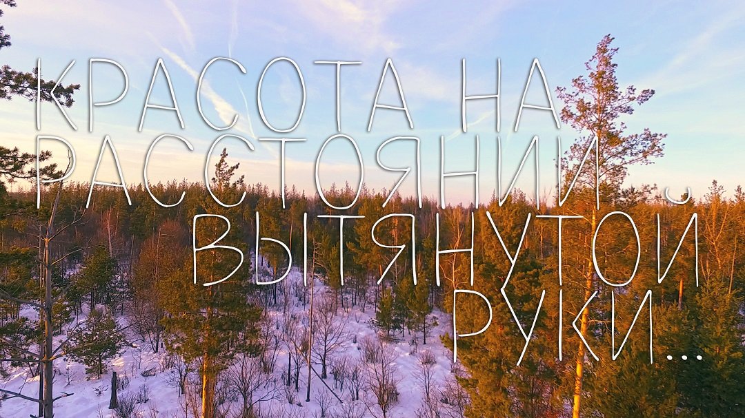 Красота на расстоянии вытянутой руки.