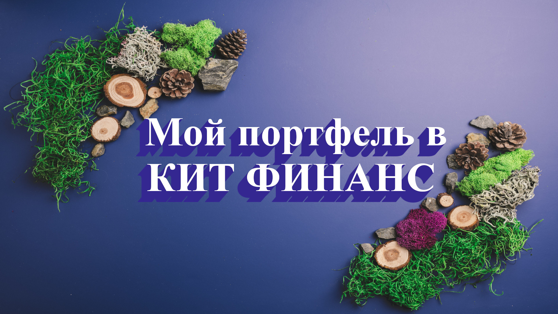 Мой портфель в КИТ ФИНАНС. Вторая часть ИИС, переведенного из СБЕРА