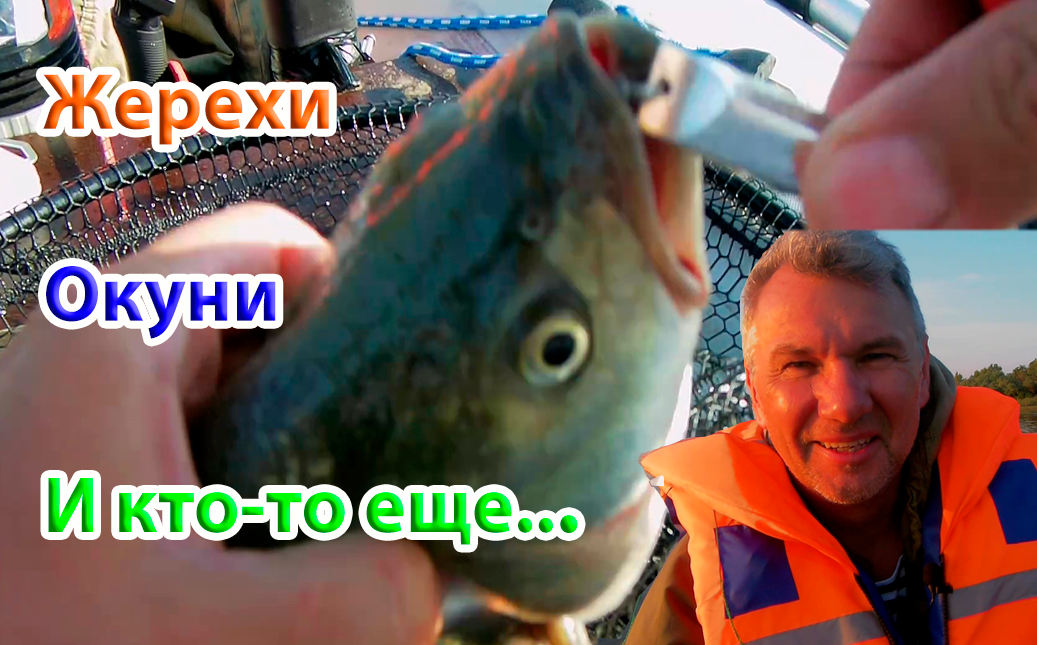 Жерехи Окуни Сом. Первый день Астрахани отпуска удался.