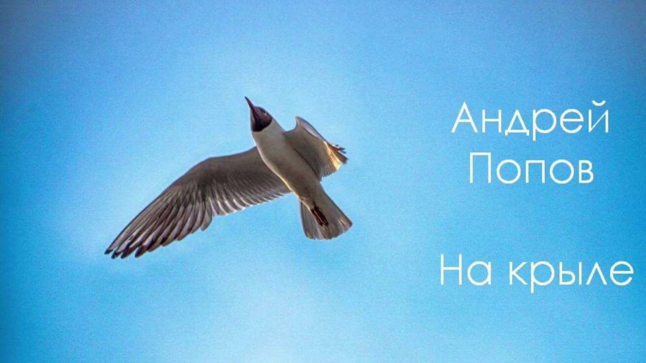 Андрей Попов. На крыле