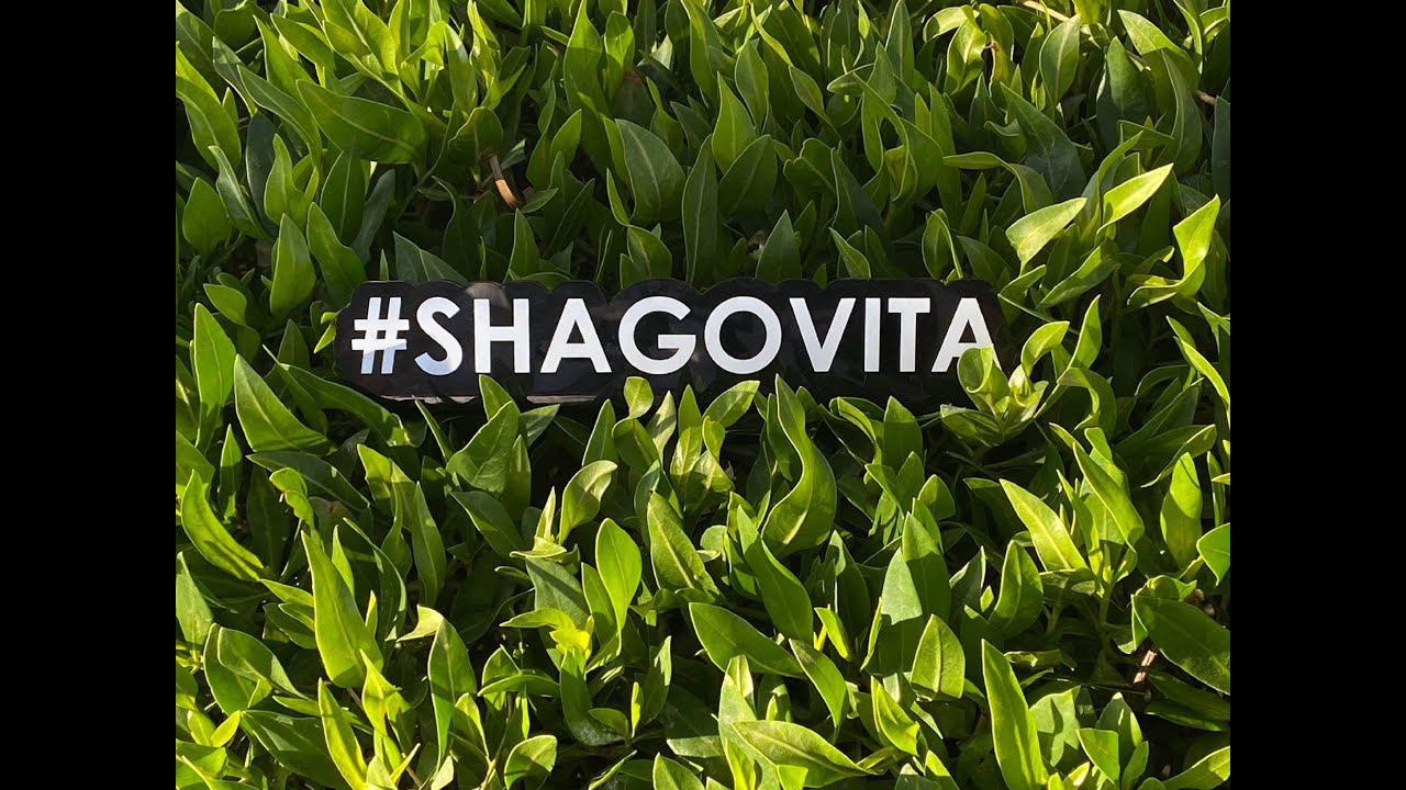 Шаговита - описание моделей коллекции "ВЕСНА-ЛЕТО-2024" в привязке к бланку-заказа