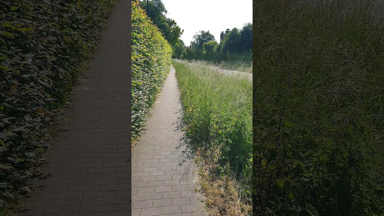 Жара идёт ☀️ #thekostja #жара