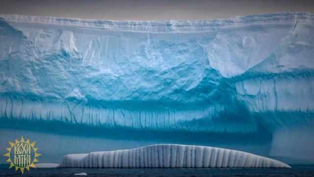 Серые глаза...