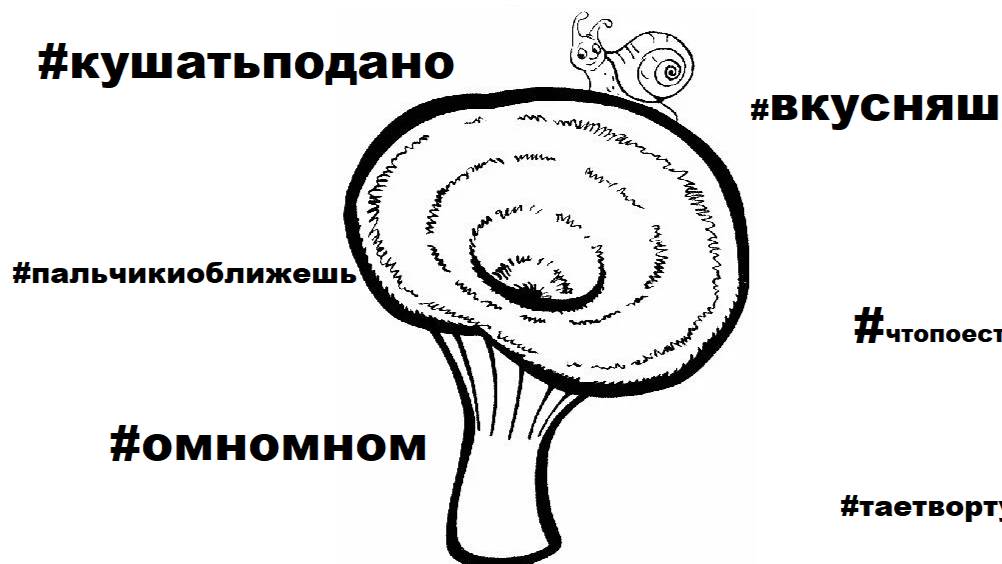 #оКВ / Груздь Маринованный