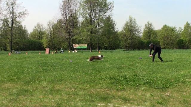 USDDN World Finals Qualifier. Людмила и Аргентина..mp4