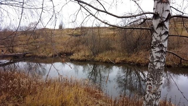 Уводь. ч.2. Ноябрь 2022