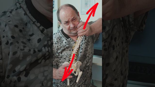 Это восстанавливает позвоночник.  Современные методы вытяжения позвоночника