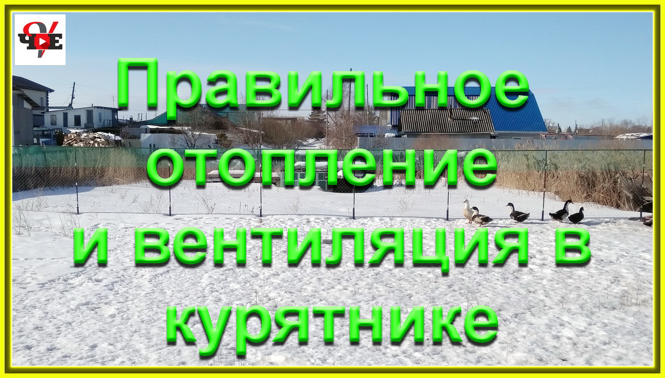 Правильное отопление и вентиляция в курятнике.mp4