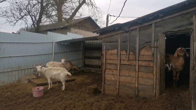 первая прогулка после зимы