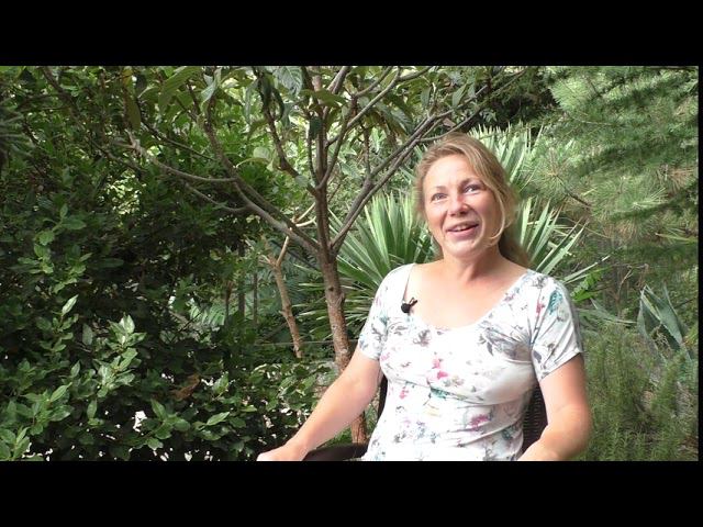 Отзыв Екатерины Дмитриевой о Крымском интенсиве СЦД