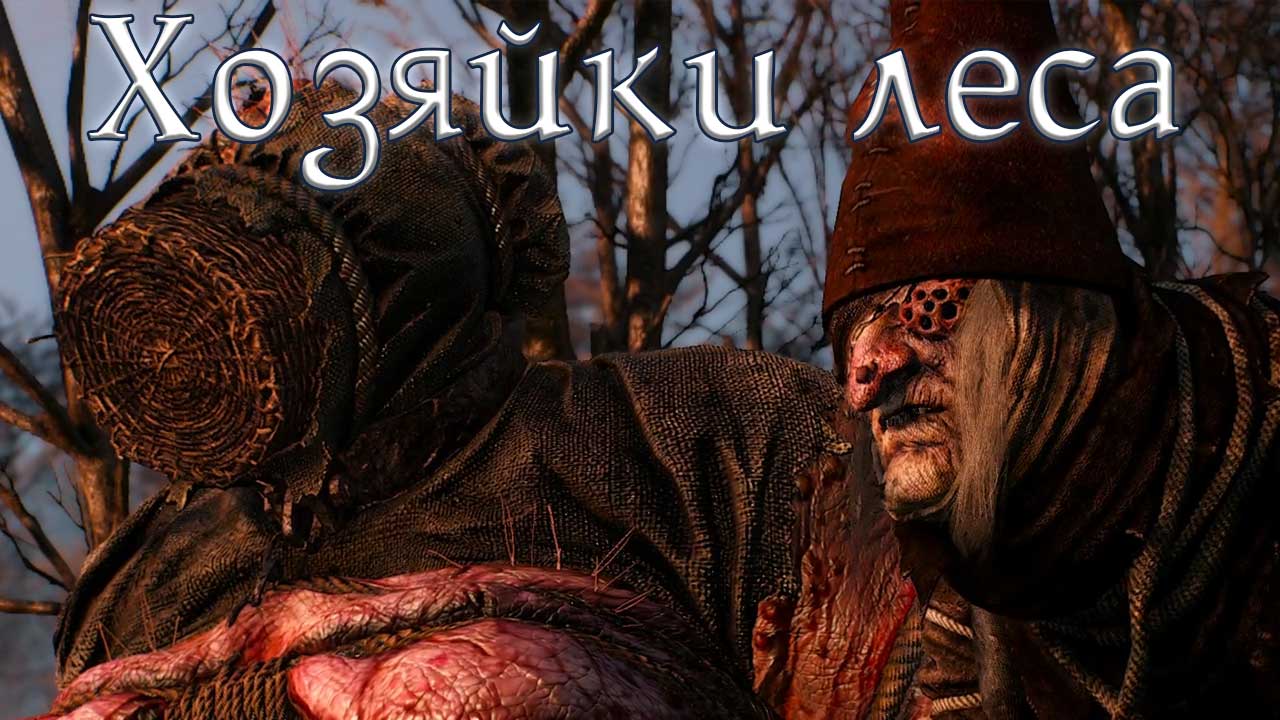 Ведьмак 3: Дикая Охота. #4. Дикое сердце. Чудище с болот. Хозяйки леса. Шепчущий холм. Лешачиха