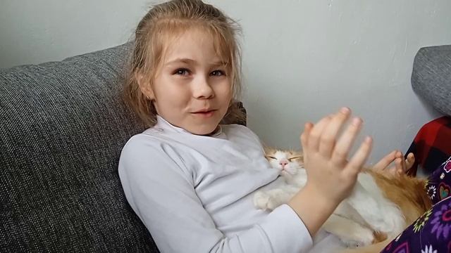 Кот , котята и весёлые стихи о котах ? ?.