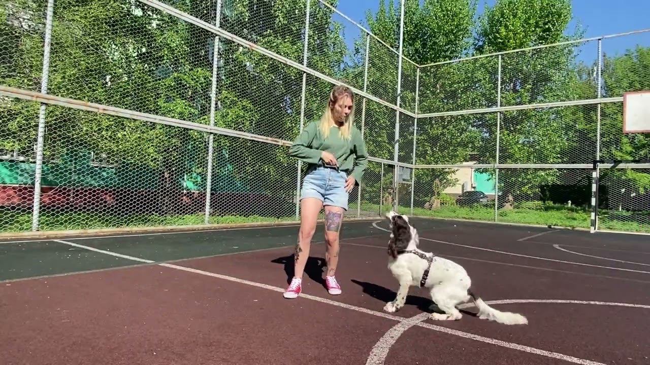 20. Трюки. Вольт